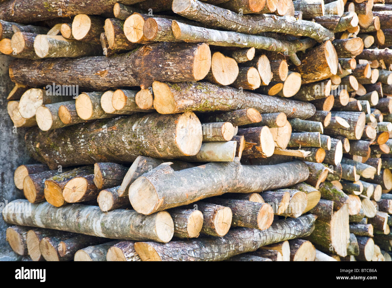 Pile of wood Stock Photo - Alamy