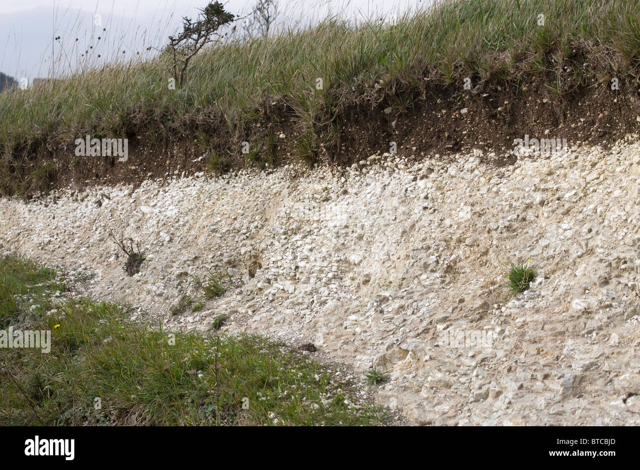 Chalk Outcrop White Cliffs of Dover Stock Photo - Alamy