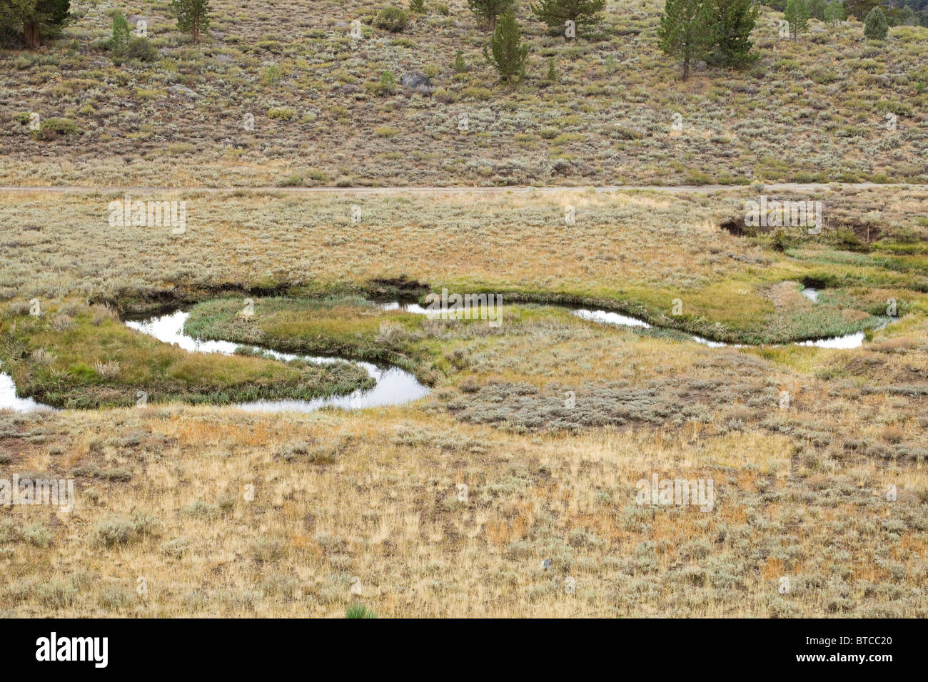 Winding stream bed hi-res stock photography and images - Alamy