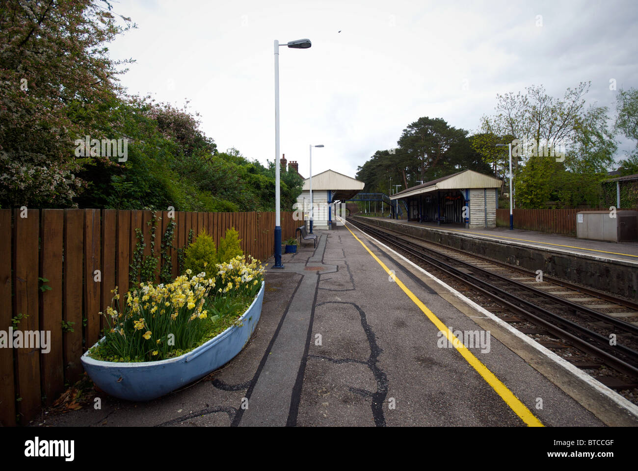 Sway railway station new forest hi-res stock photography and images - Alamy