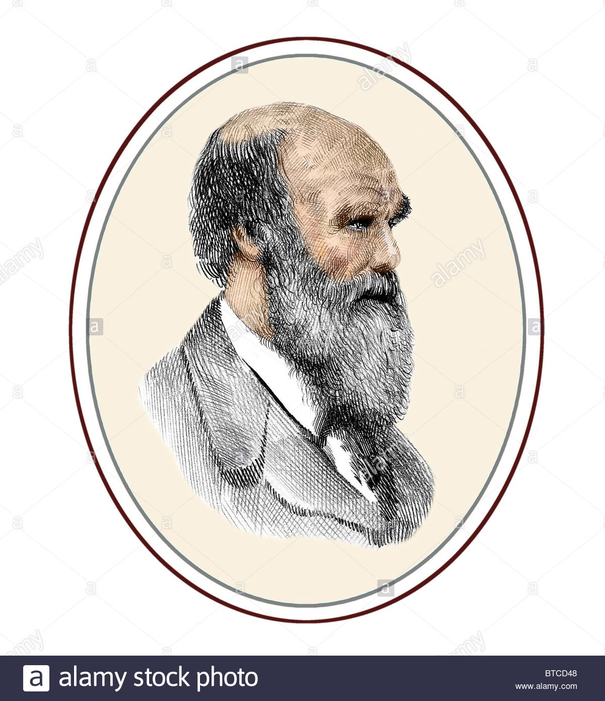 Drawing Darwin Stock Photos & Drawing Darwin Stock Images - Alamy