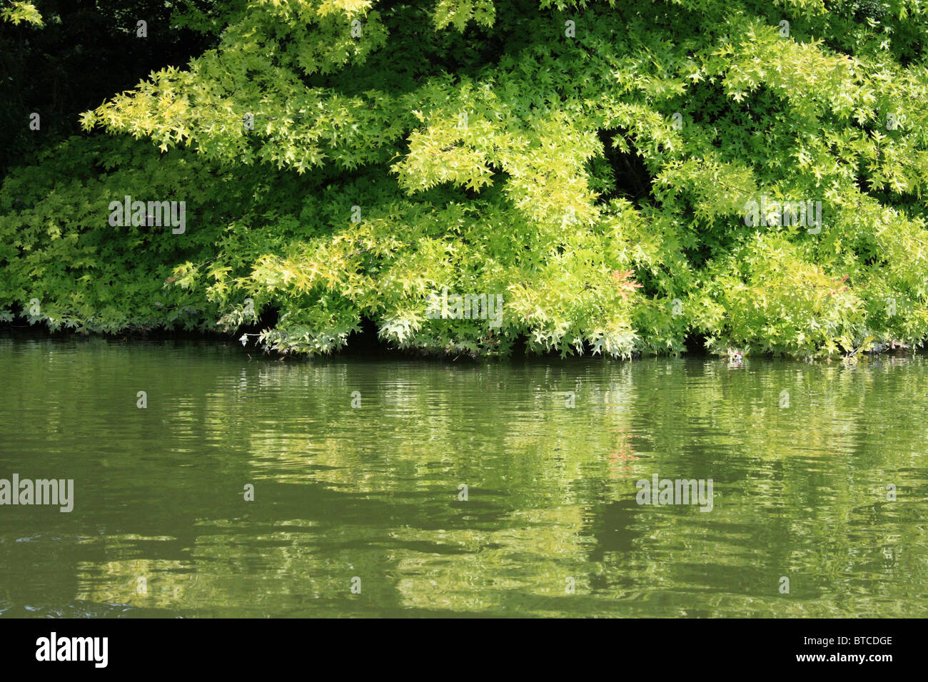 Bach banks hi-res stock photography and images - Alamy