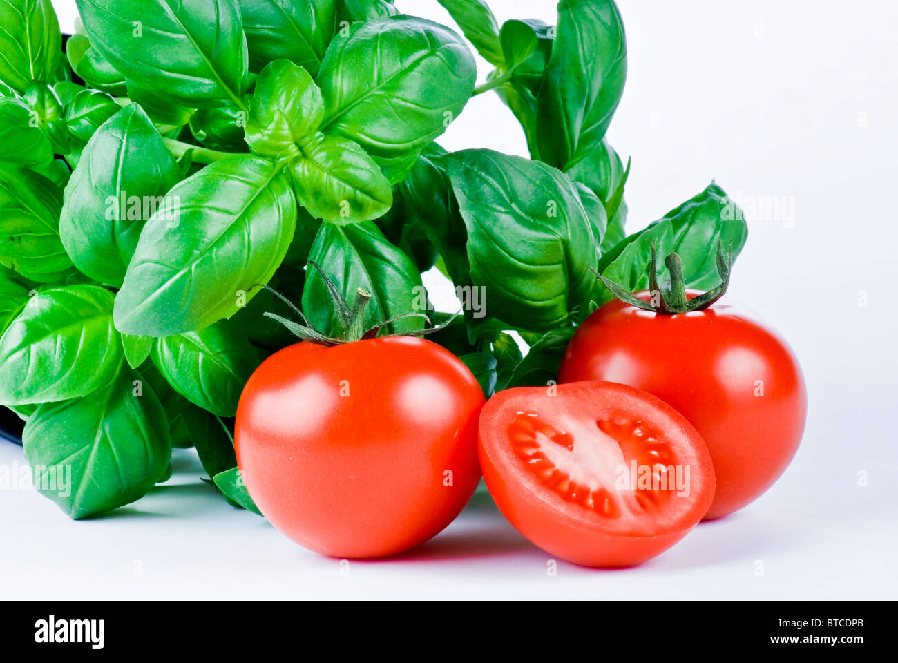 Fresh basil and tomatoes on white background Stock Photo - Alamy