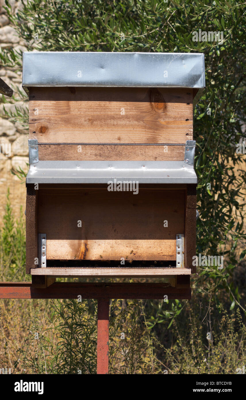 Farm beehive, front view Stock Photo - Alamy