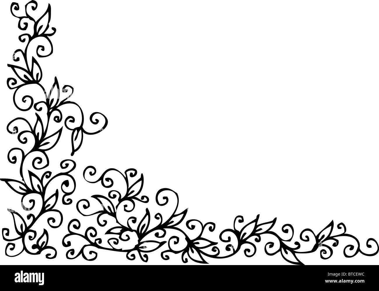 Drawing vector graphics floral Black and White Stock Photos & Images ...