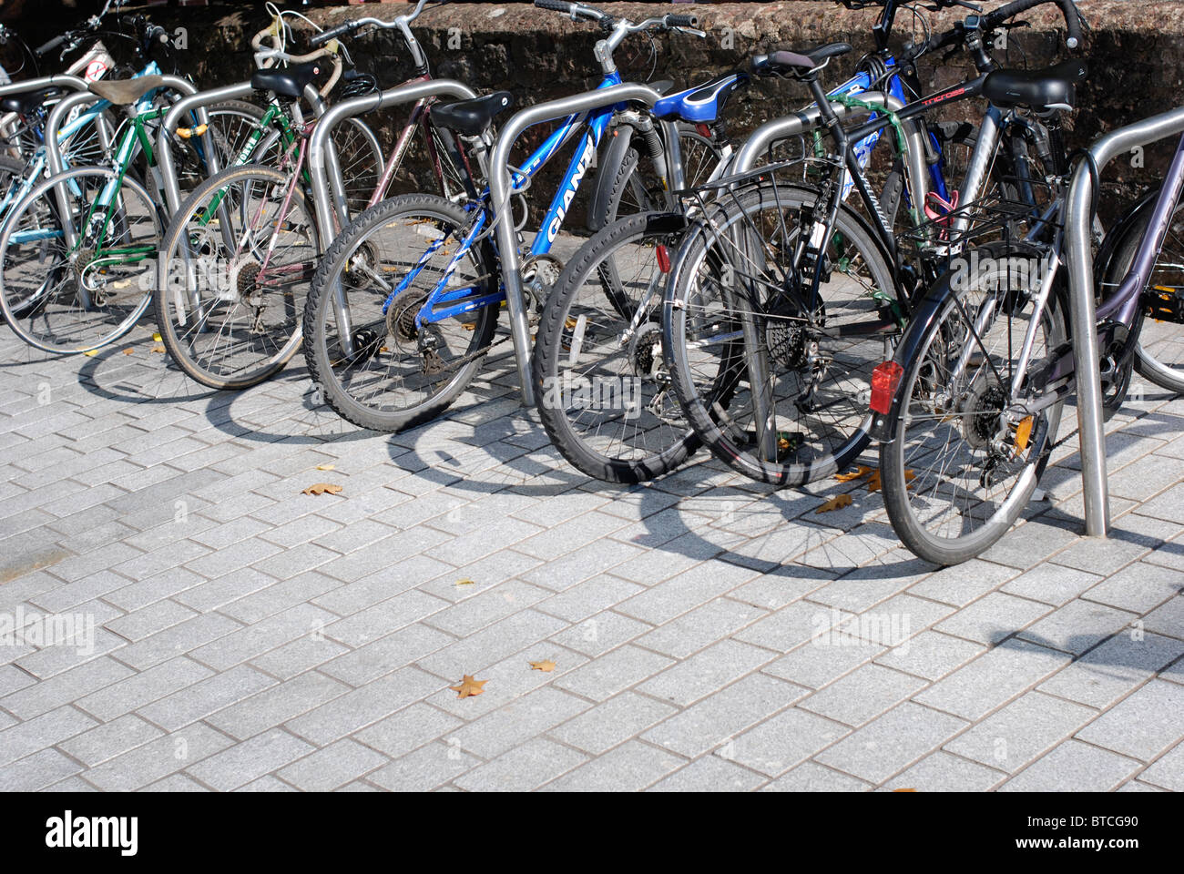 Rank Of Bicycles High Resolution Stock Photography and Images - Alamy