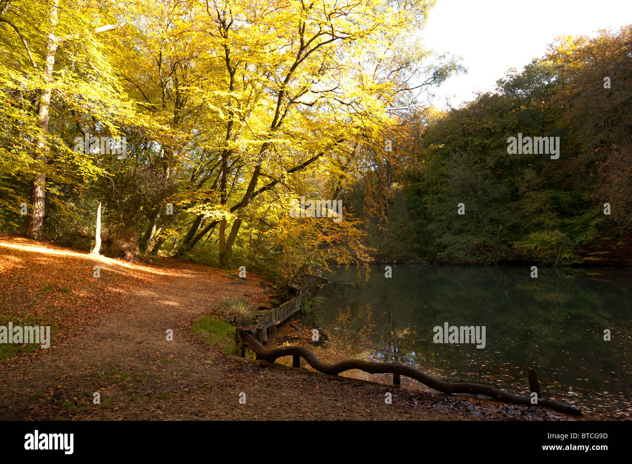 Lake reflecting fall trees hi-res stock photography and images - Alamy
