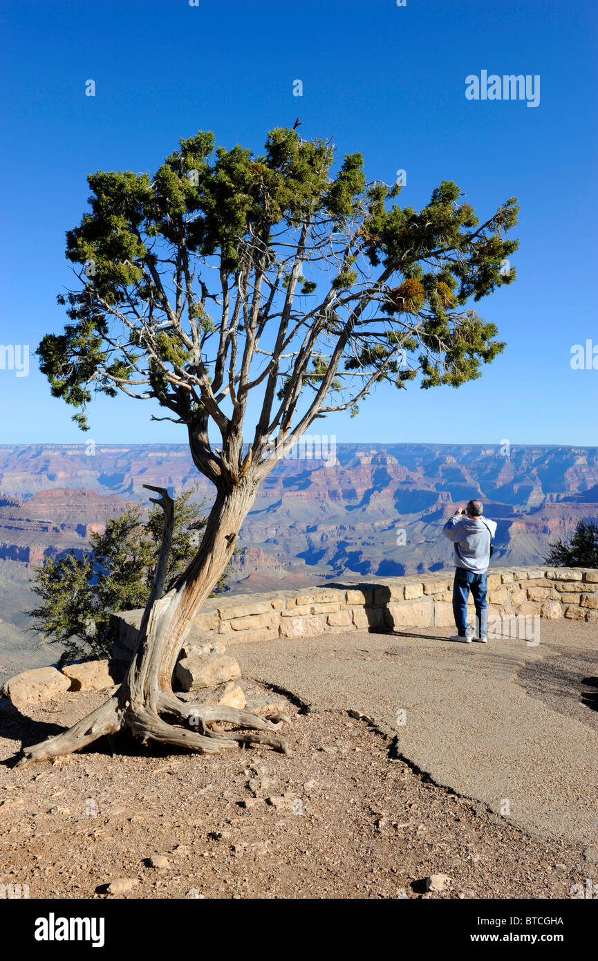 Grandview Point Grand Canyon National Park Arizona Stock Photo - Alamy