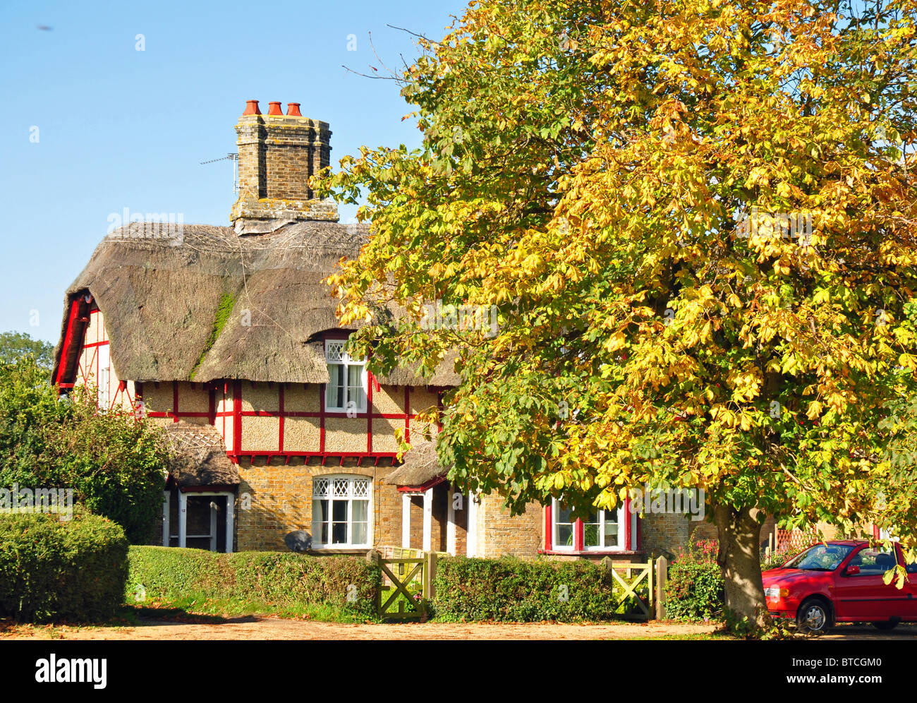 Somerleyton, Suffolk, England: thatched house and tree in autumn colour ...
