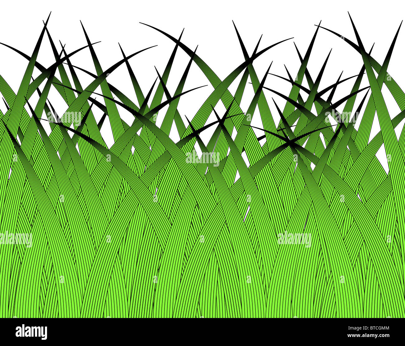 Illustrated design of stylized grass blades Stock Photo - Alamy