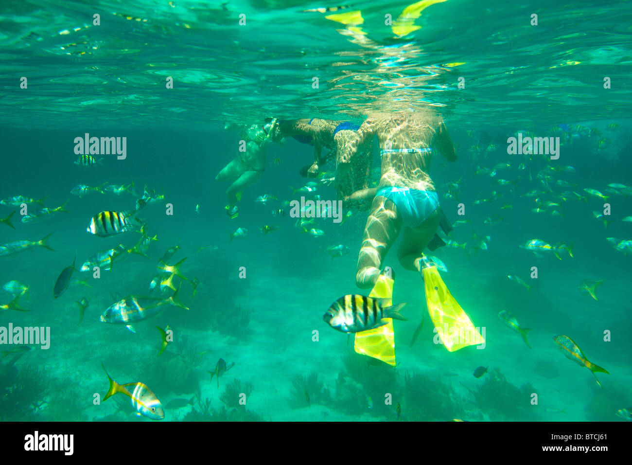Deep sea exploration hi-res stock photography and images - Alamy