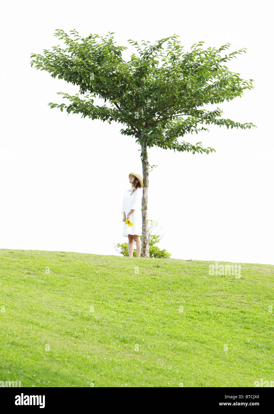 Back under tree hi-res stock photography and images - Alamy