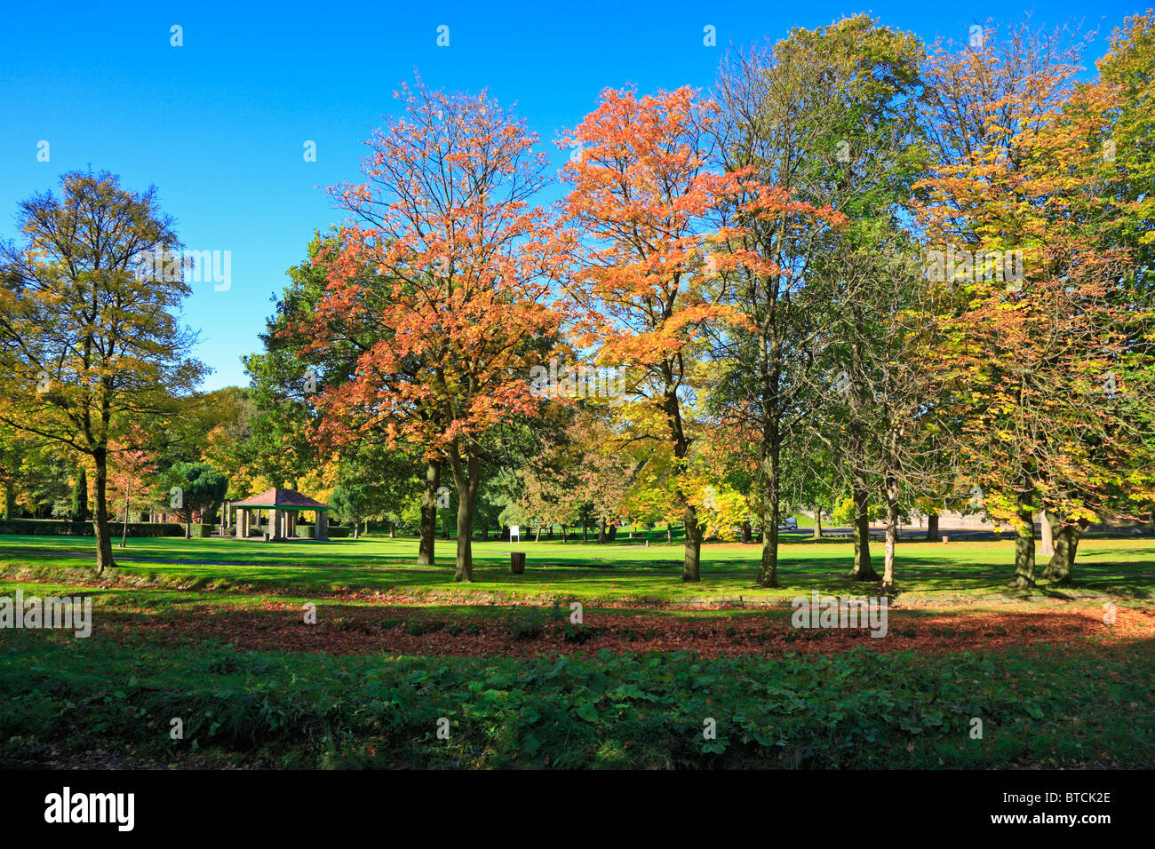 Autumn trees in Thompson Park, Burnley, Lancashire, England, UK Stock ...