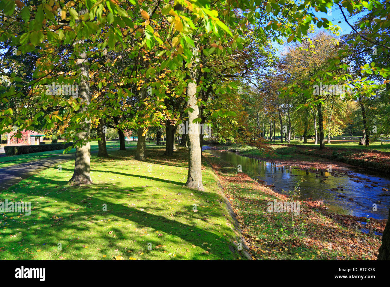 Autumn trees by the River Brun in Thompson Park, Burnley, Lancashire ...