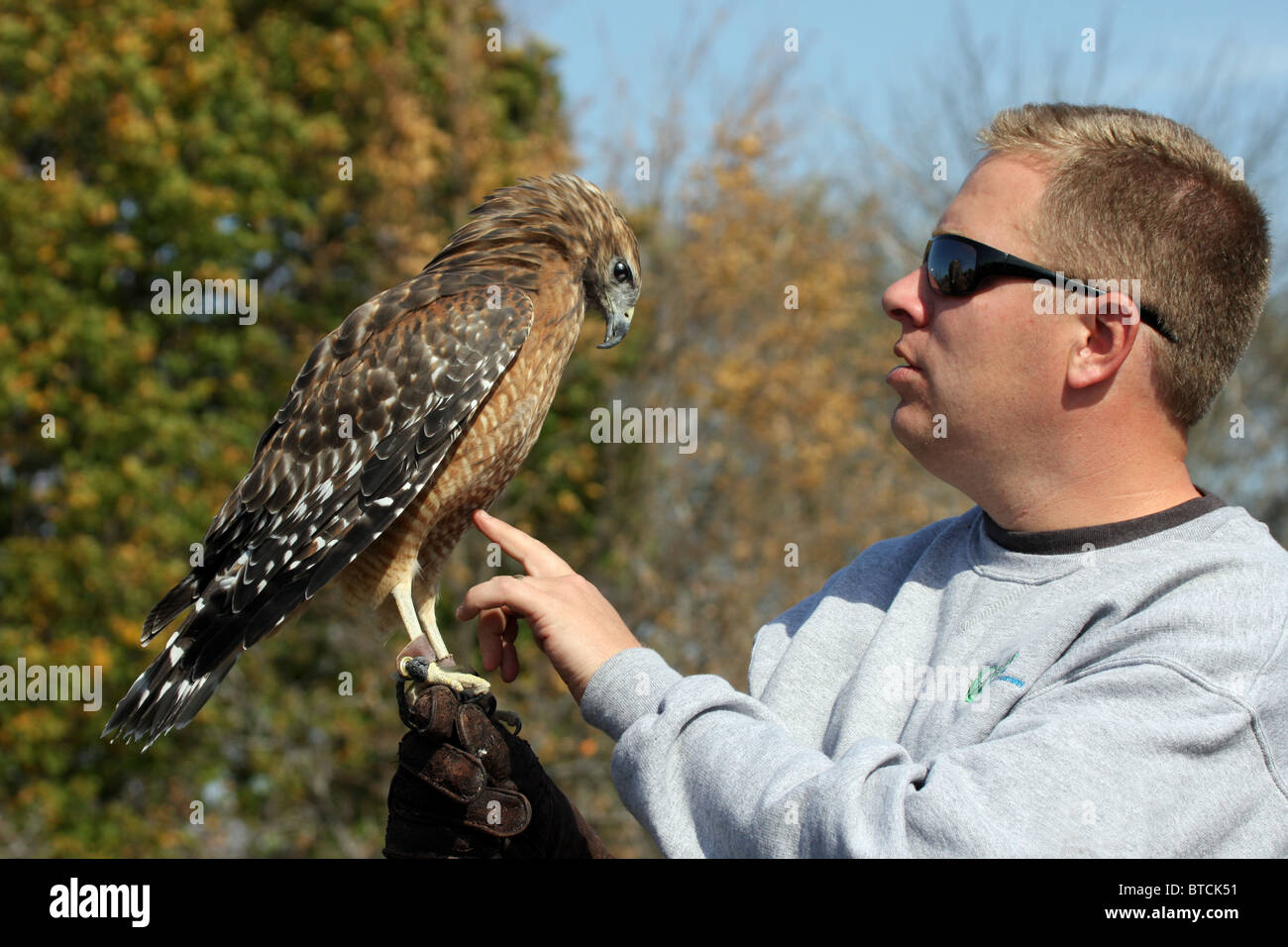 Boy with hawk hi-res stock photography and images - Alamy