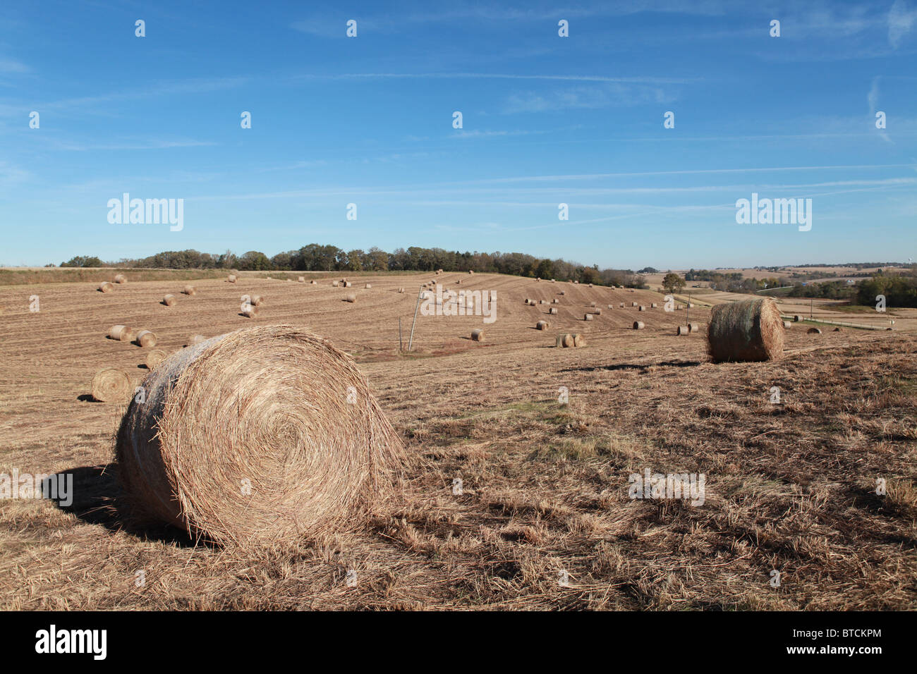 Bailed Hay High Resolution Stock Photography and Images - Alamy