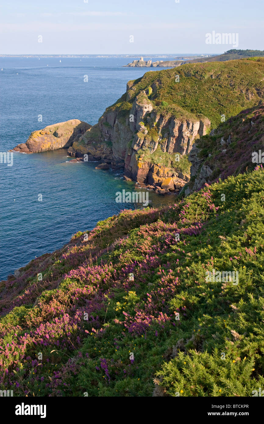 Scenic view of the Cliffs in the brittany coast, Pointe de Pen-Hir ...