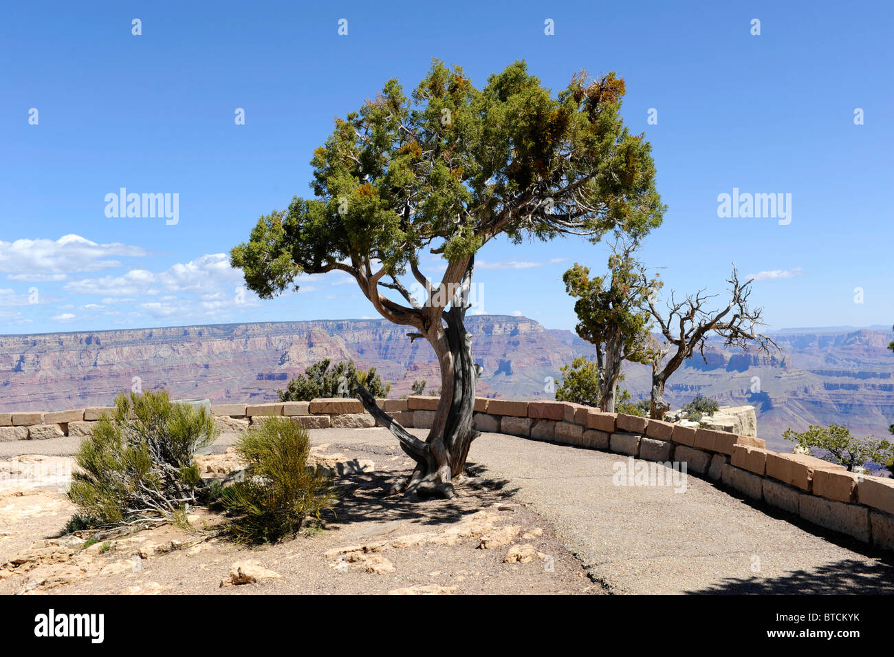 Moran Point South Rim Grand Canyon National Park Arizona Stock Photo ...