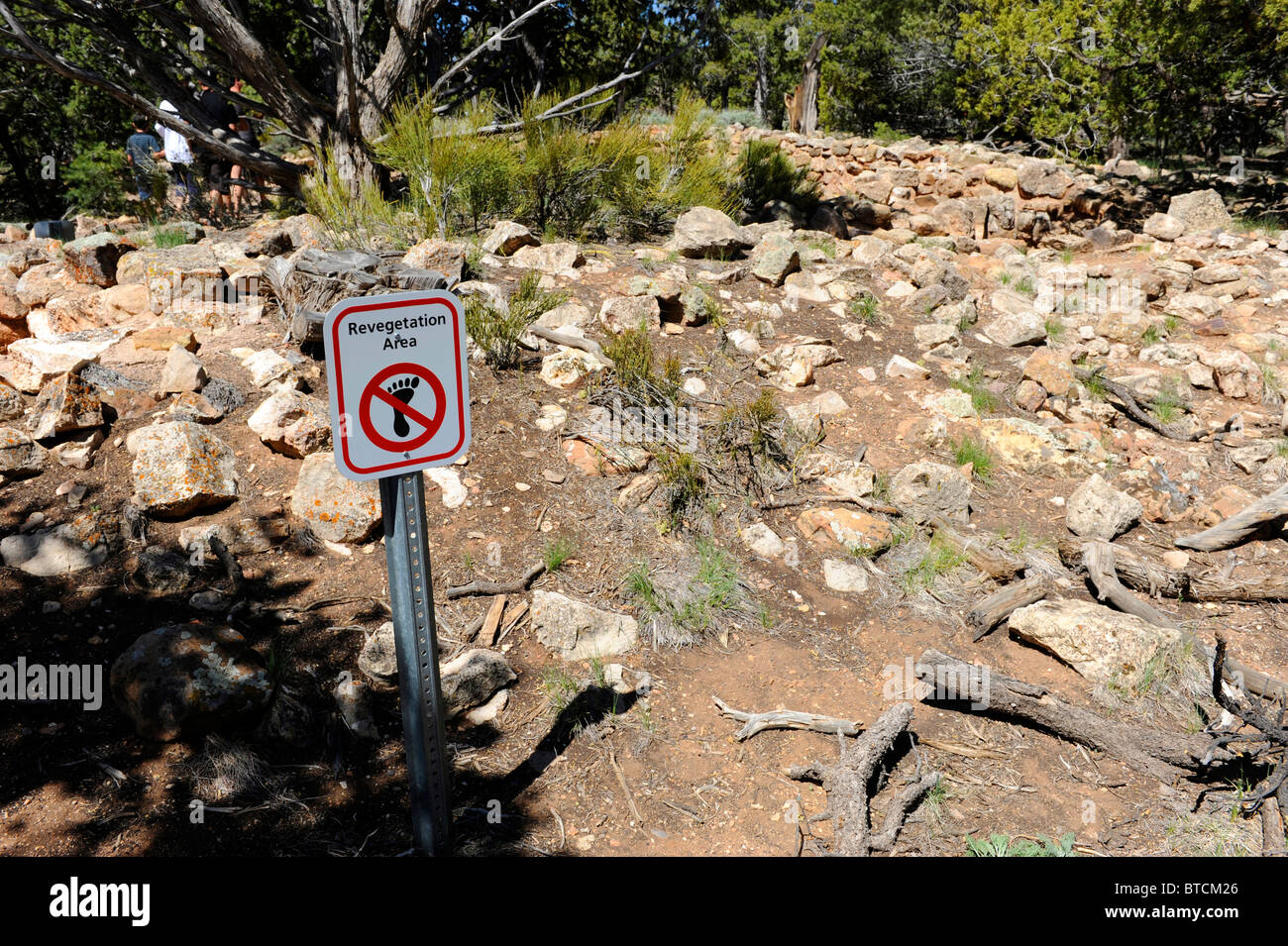 Revegetation sign Tusayan Museum and Ruin Grand Canyon National Park ...
