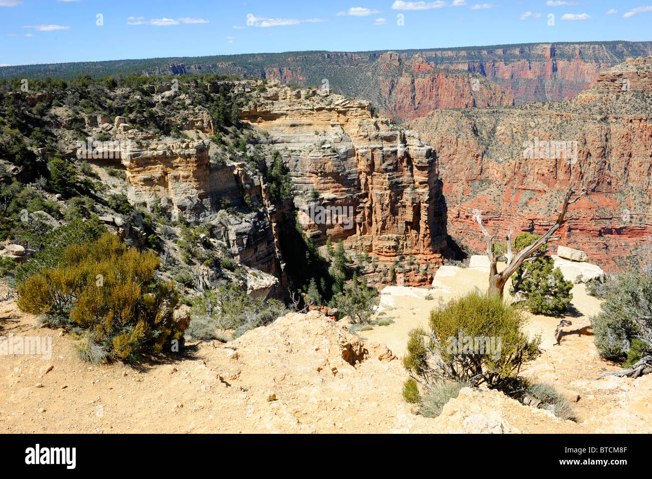 Moran Point South Rim Grand Canyon National Park Arizona Stock Photo ...