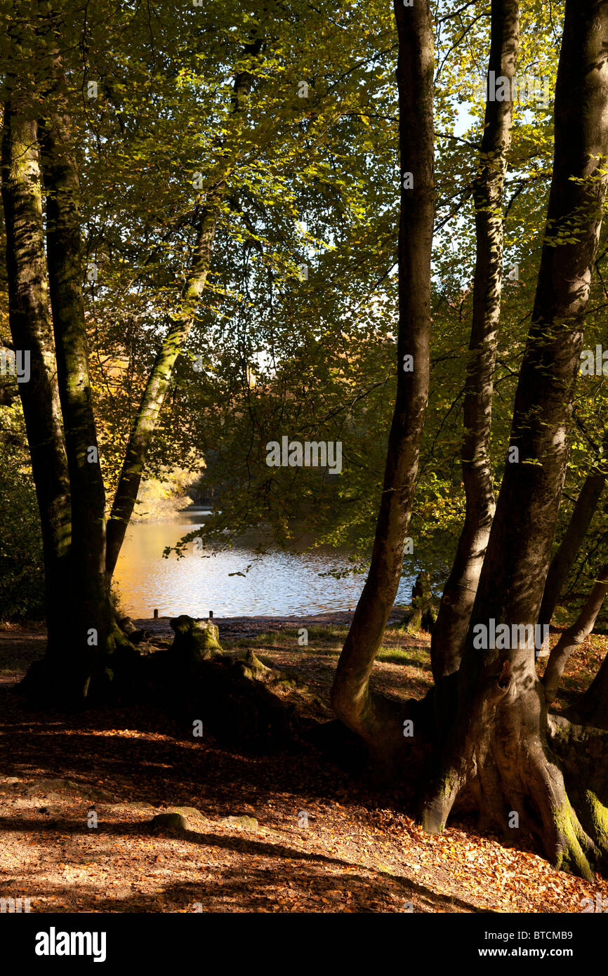 Framing color hi-res stock photography and images - Alamy