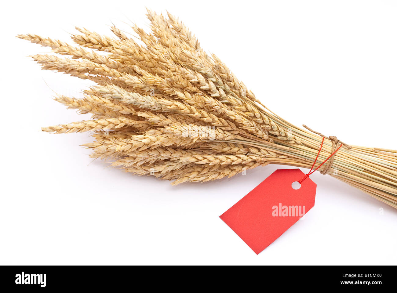 Red ear tag Cut Out Stock Images & Pictures - Alamy