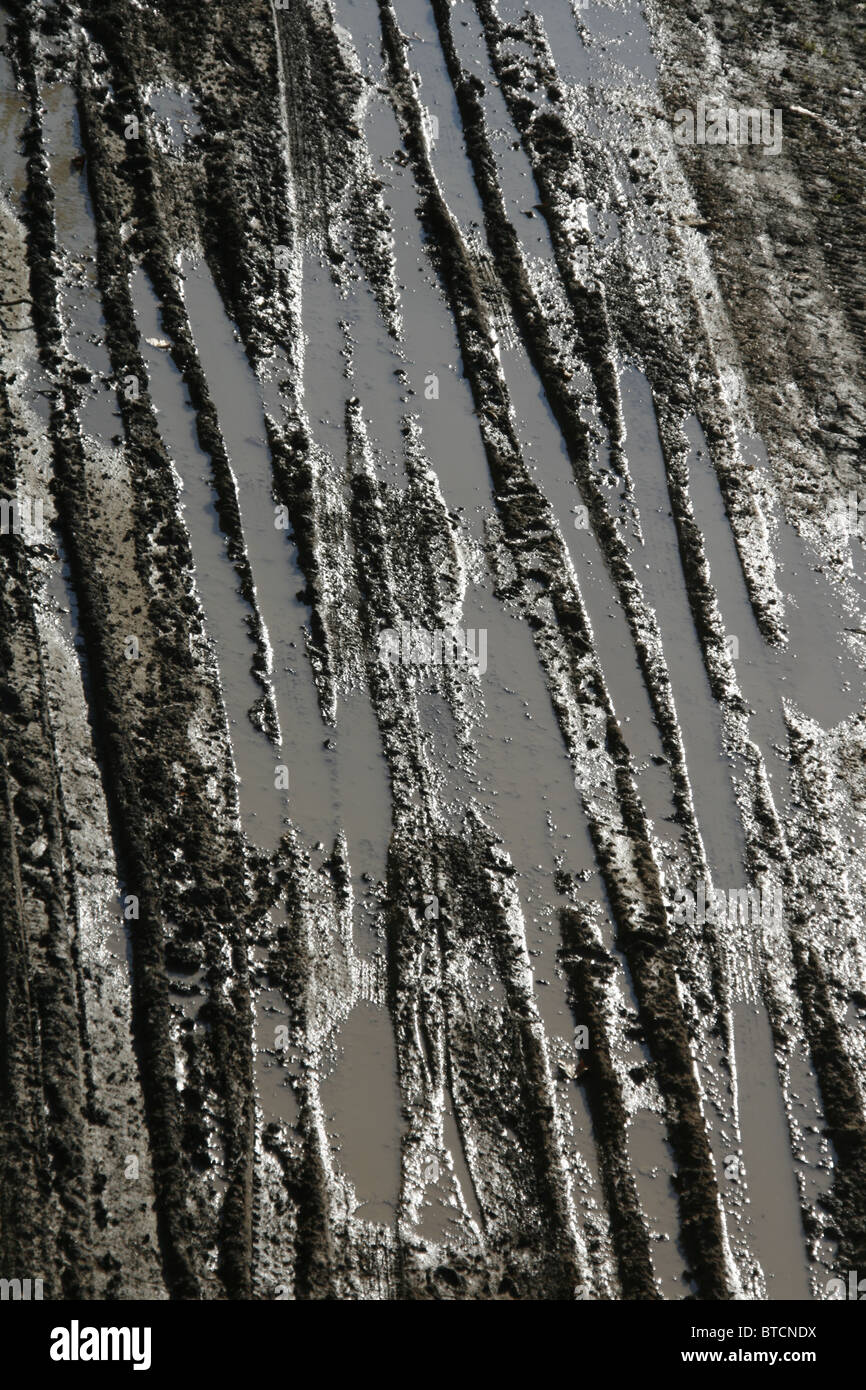 many tyre tracks crossing in mud in field in countryside Stock Photo ...