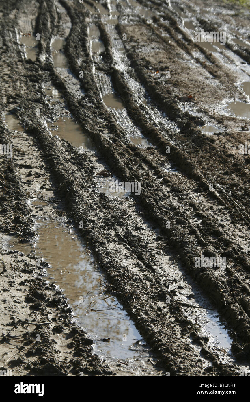many tyre tracks crossing in mud in field in countryside Stock Photo ...