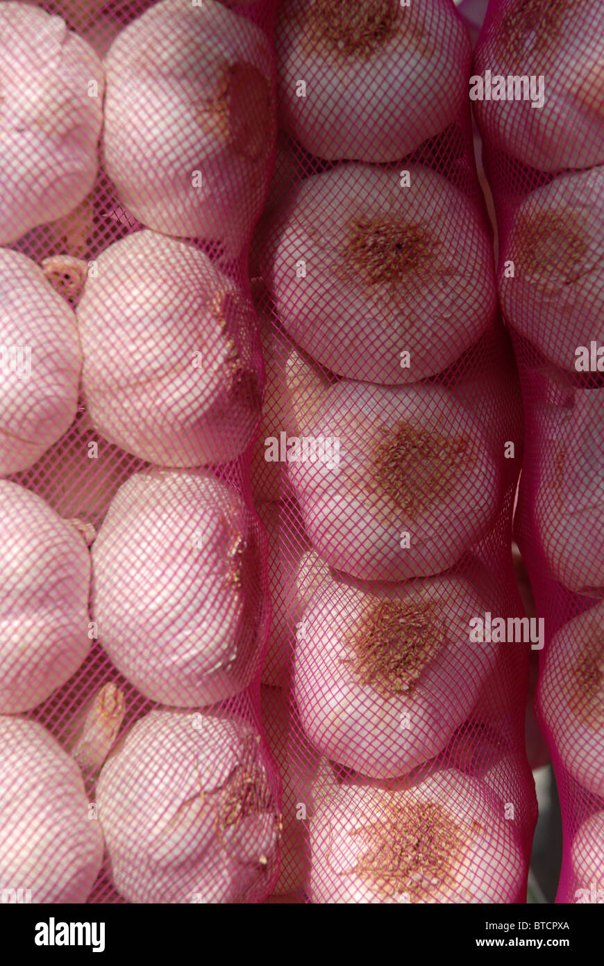 strings of garlic for sale at a roadside stall, near Guadalest ...