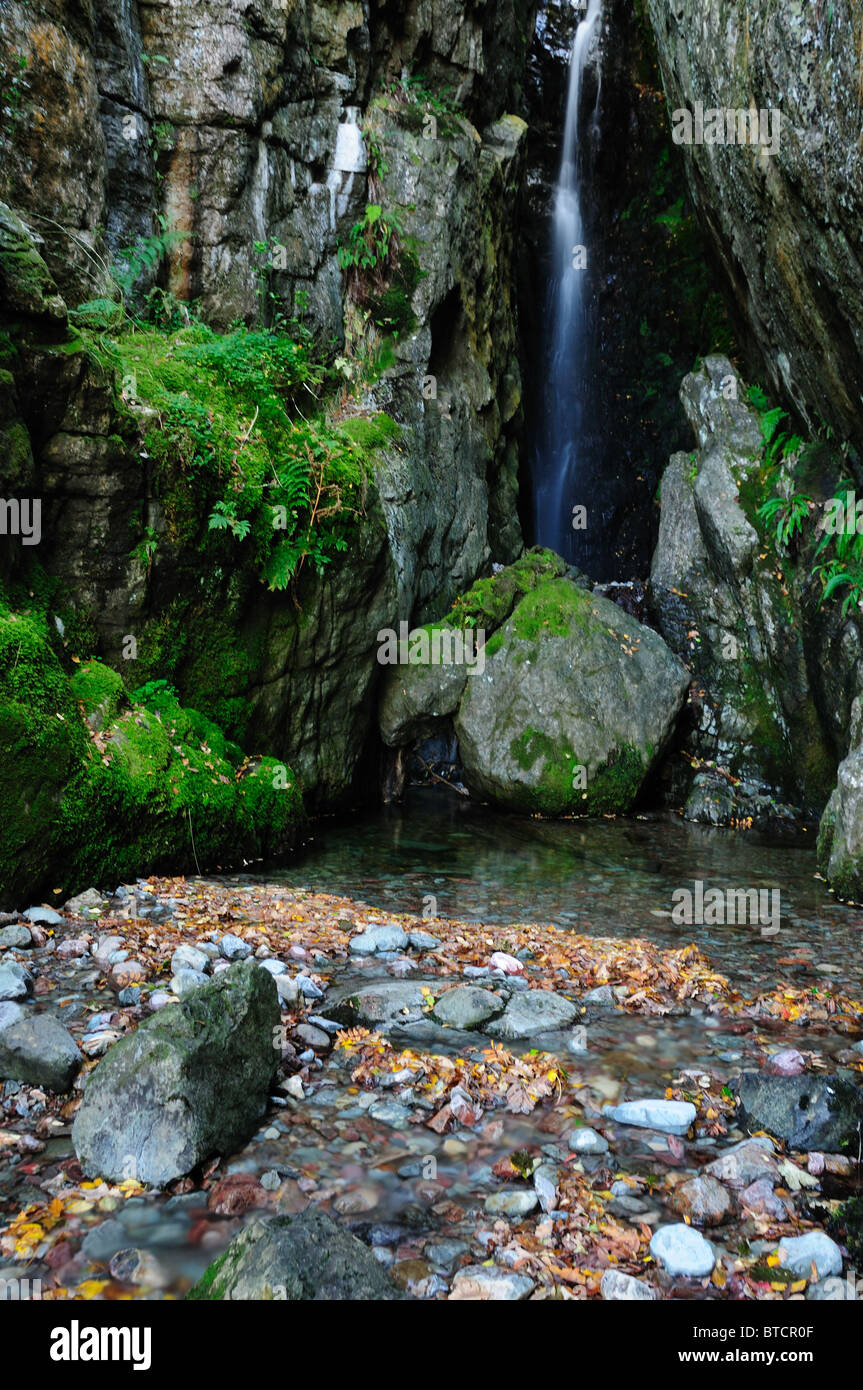 Dungeon ghyll force waterfall cumbria hi-res stock photography and ...
