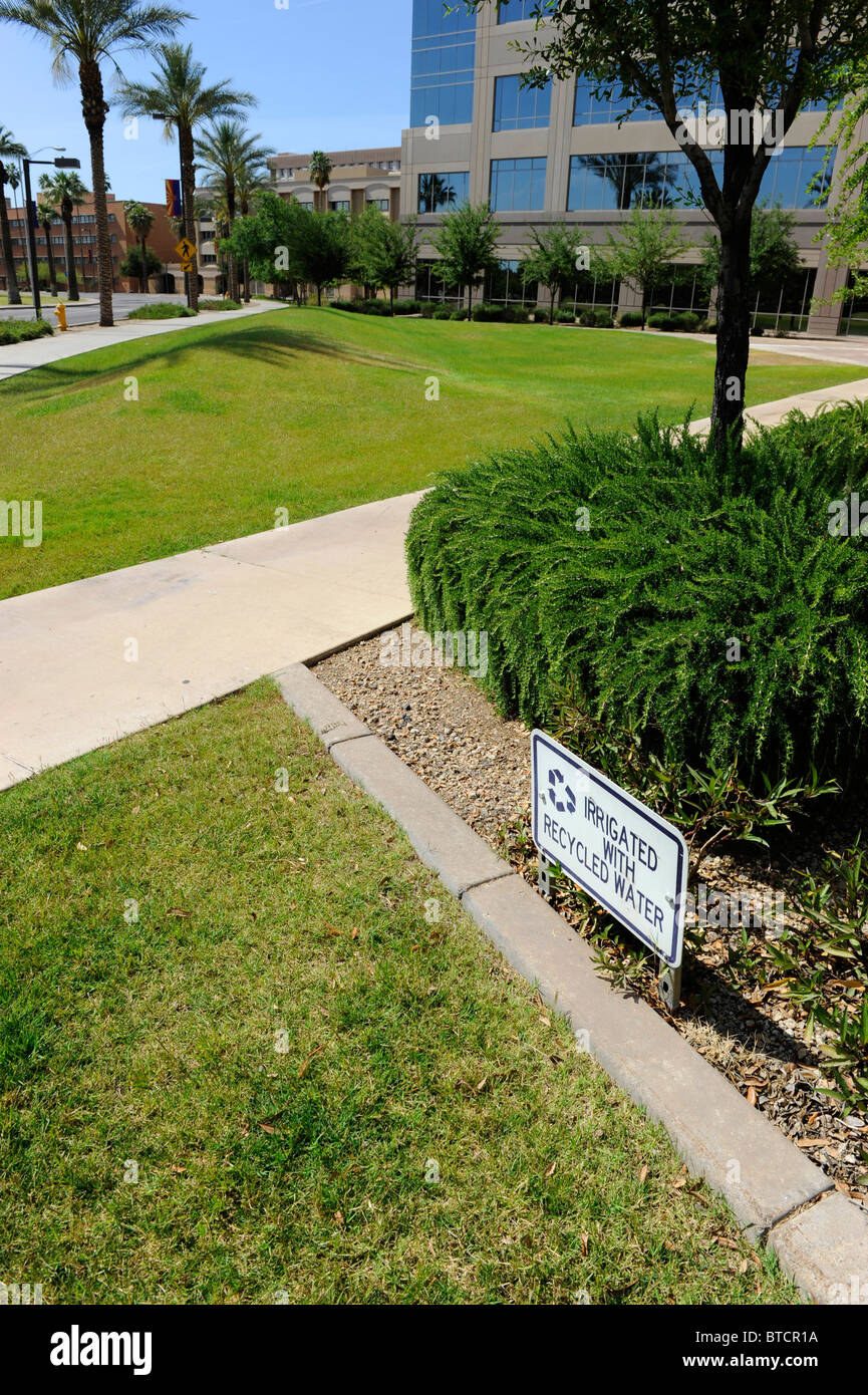 Landscaping irrigated with recycled water Phoenix Arizona Stock Photo ...