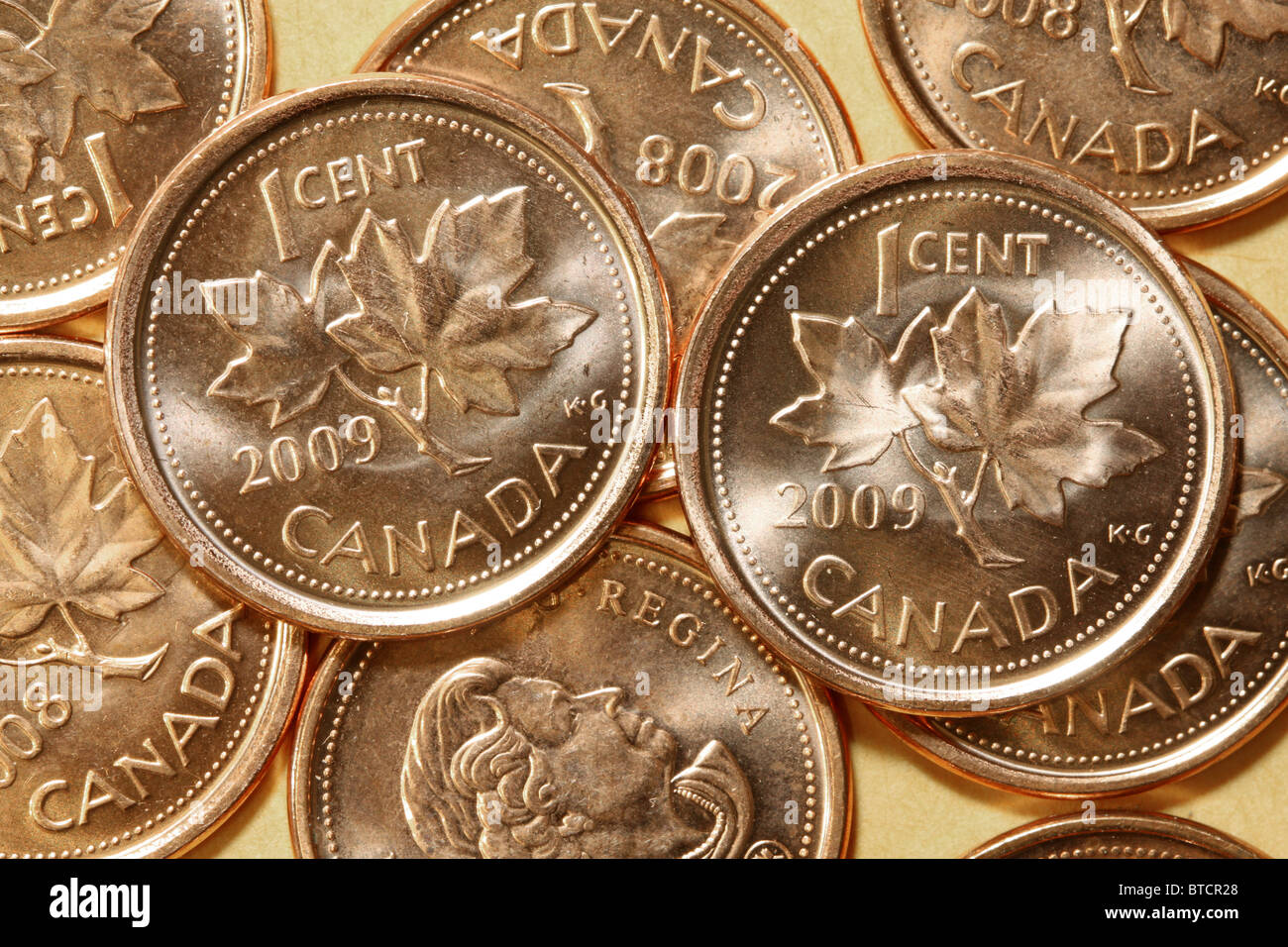 Shiny Canadian pennies Stock Photo - Alamy Shiny Canadian pennies Stock Photo - Alamy