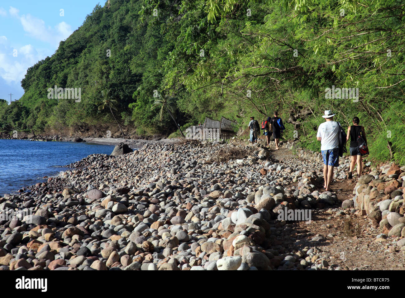 Waitakabuli national trail hi-res stock photography and images - Alamy