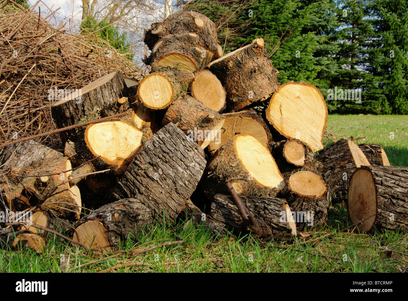 Holzstapel - stack of wood 31 Stock Photo - Alamy