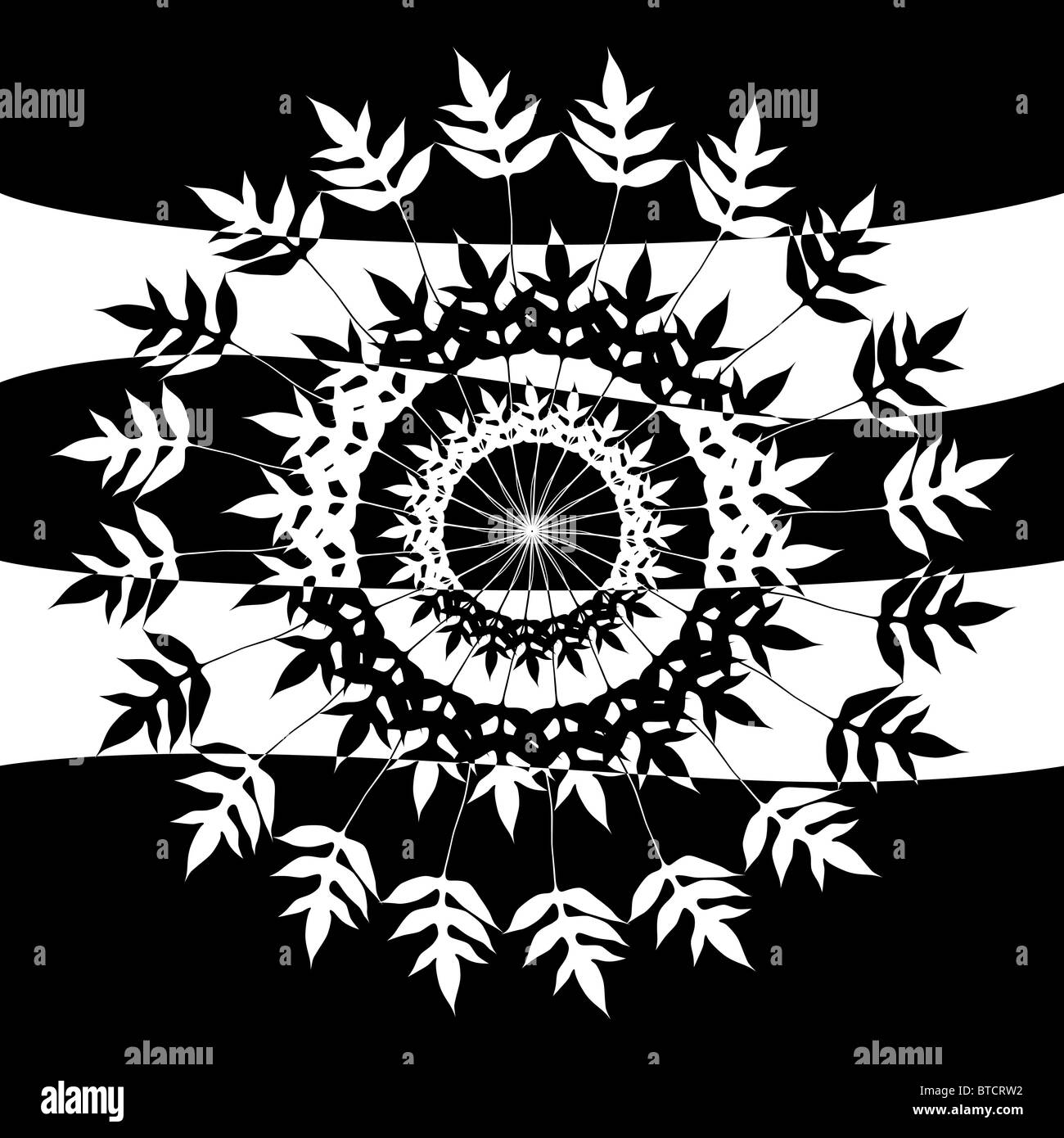 Black and white rosette hi-res stock photography and images - Alamy