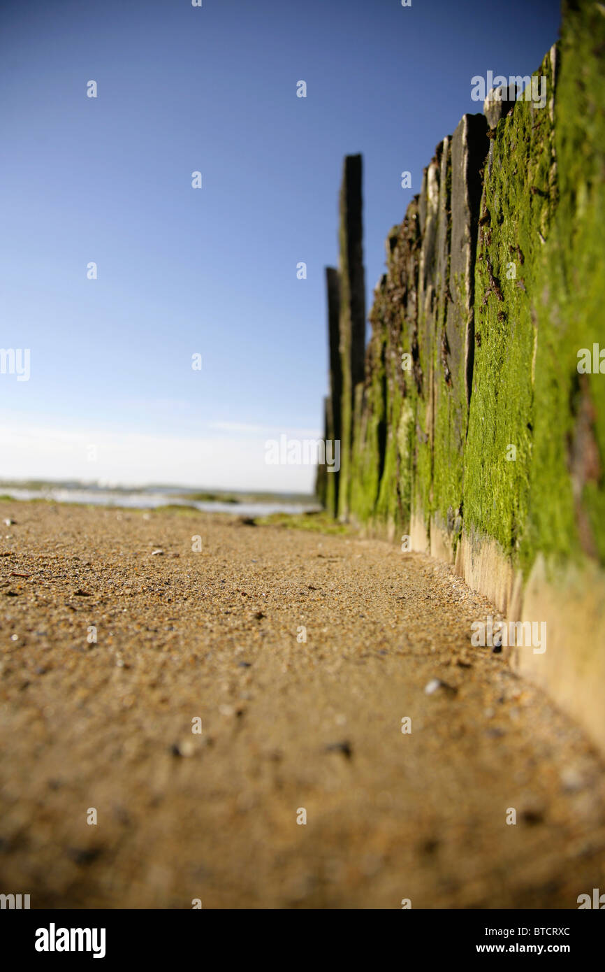 Timber sea defence groyne at the D-Day landing beach "Omaha", St ...