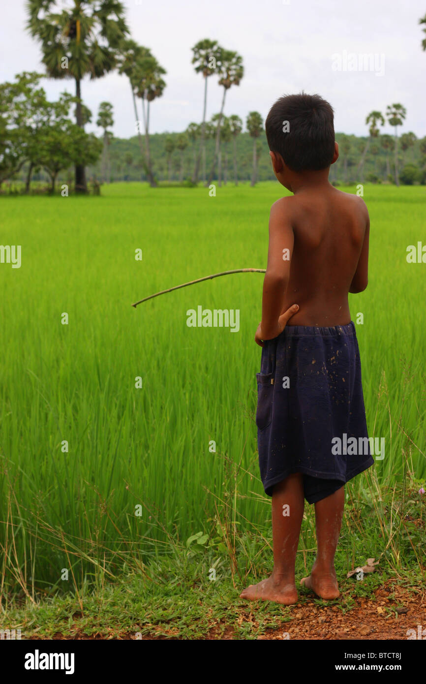 Asian kid fishing in rice fields during rain season, Cambodia Stock ...