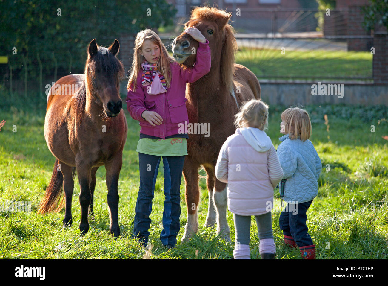 girls with ponies on a meadow Stock Photo - Alamy