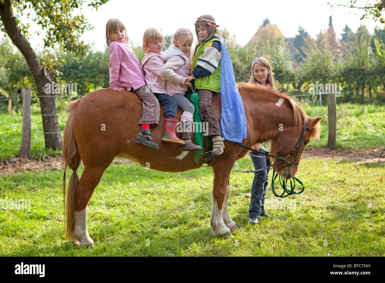four small girls sitting on a pony together Stock Photo - Alamy