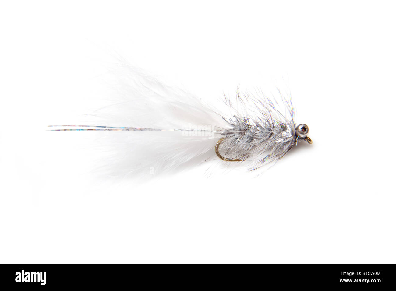 Humongous trout fly size 10 isolated on a white studio background Stock ...