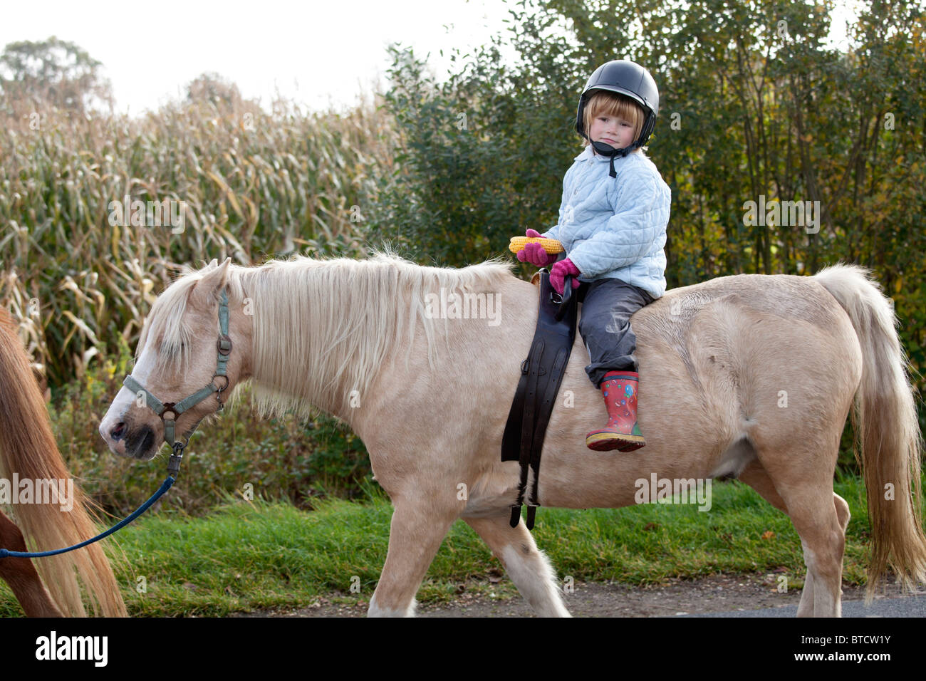 small girl riding a pony Stock Photo - Alamy