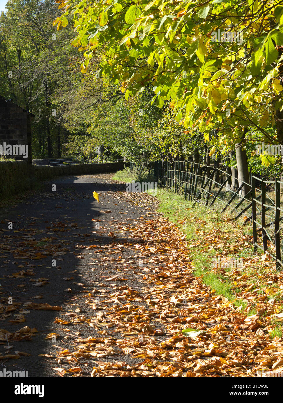 Falling leaves uk hi-res stock photography and images - Alamy