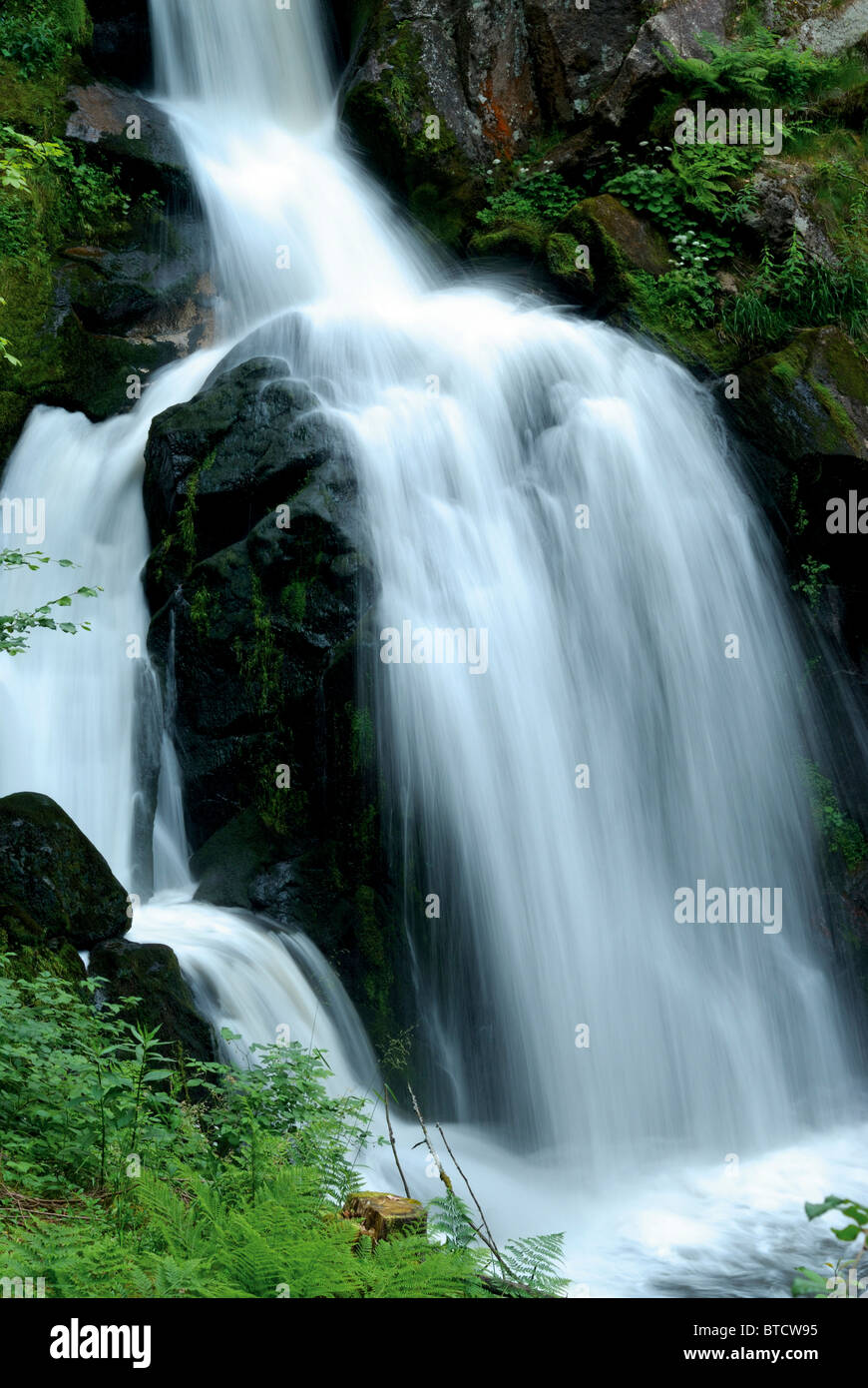 Germany, Black Forest: Triberg Waterfalls are the highest waterfalls of ...