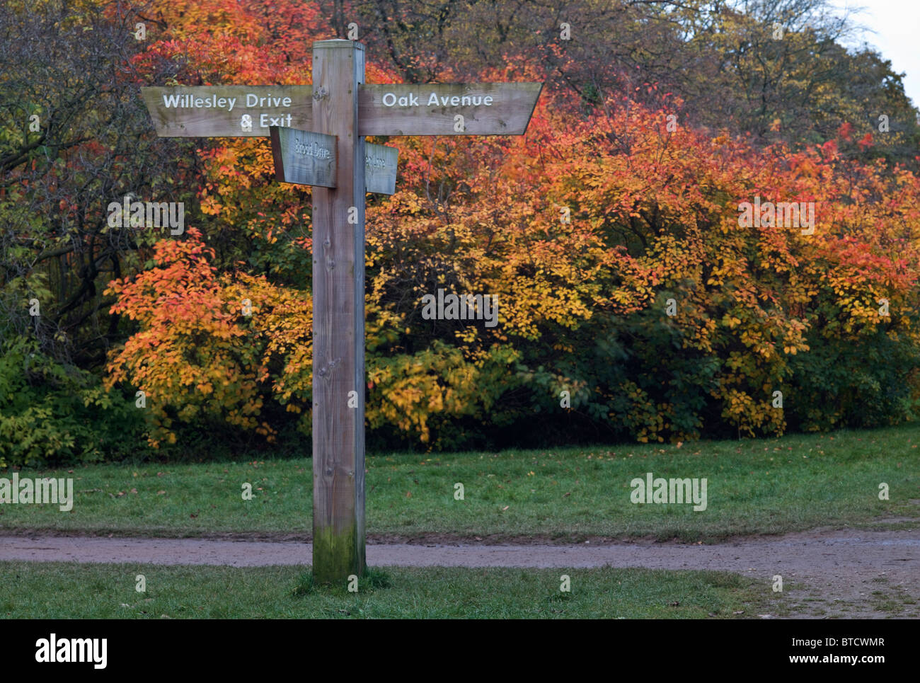 Westonbirt national arboretum color hi-res stock photography and images ...