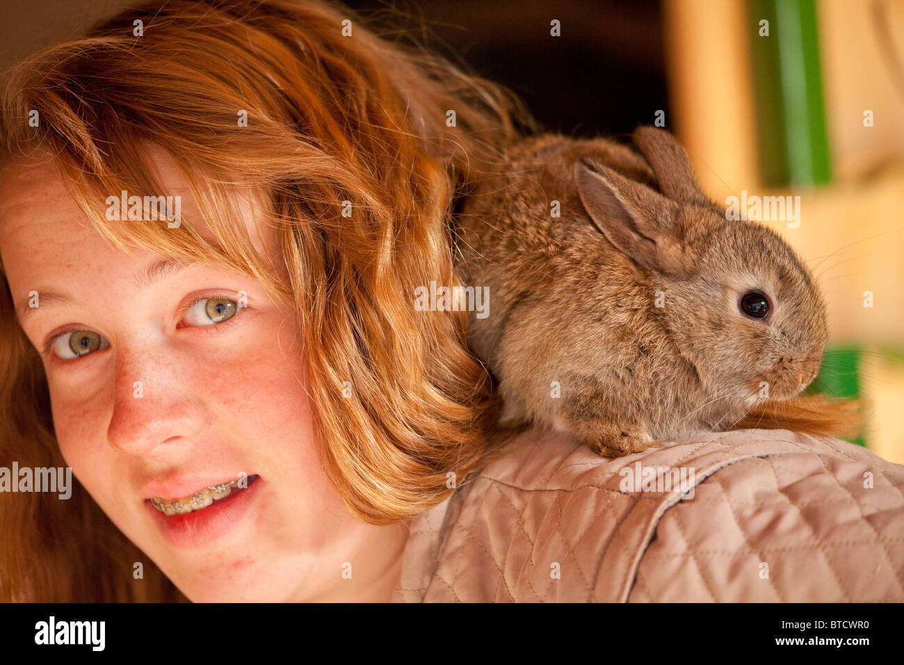 rabbit sitting on a teenage girl´s shoulder Stock Photo - Alamy