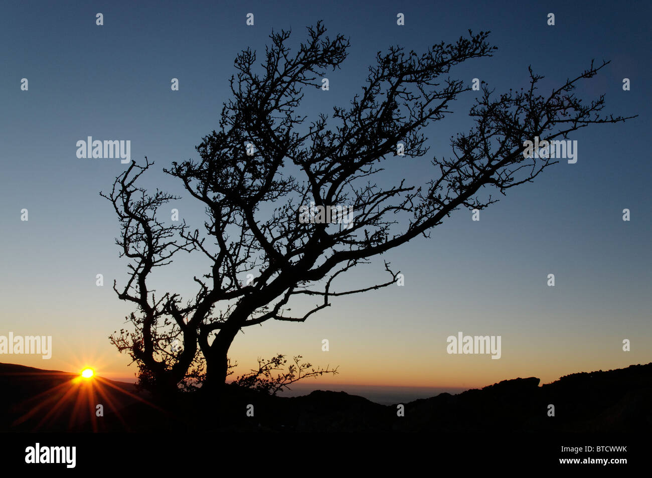 Foel gron hi-res stock photography and images - Alamy