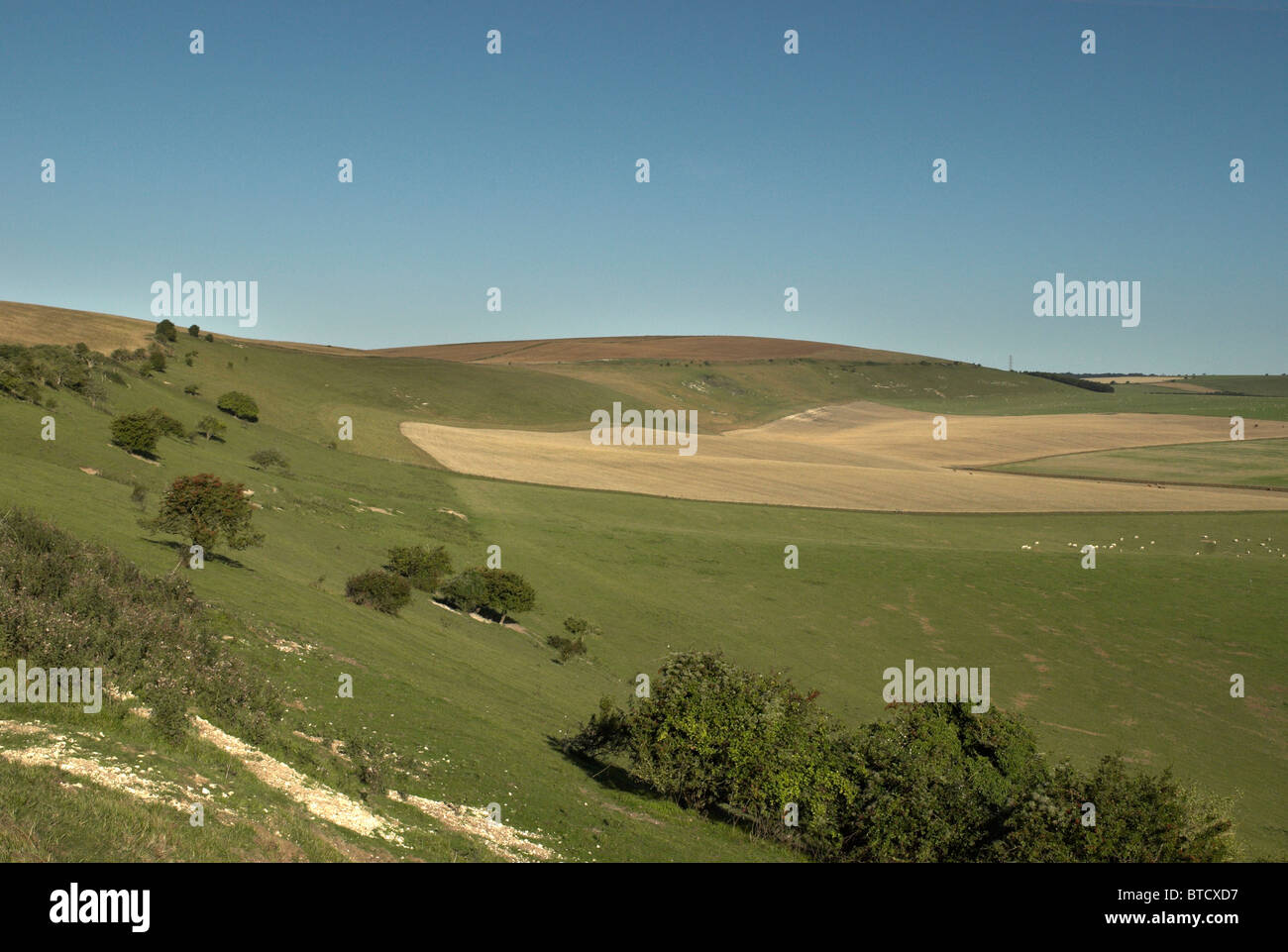 A view over to Steep Down Hill from below Lancing Hill in the South ...