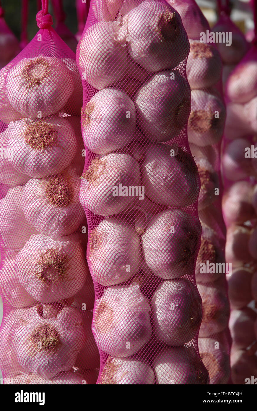 strings of garlic for sale at a roadside stall, near Guadalest ...