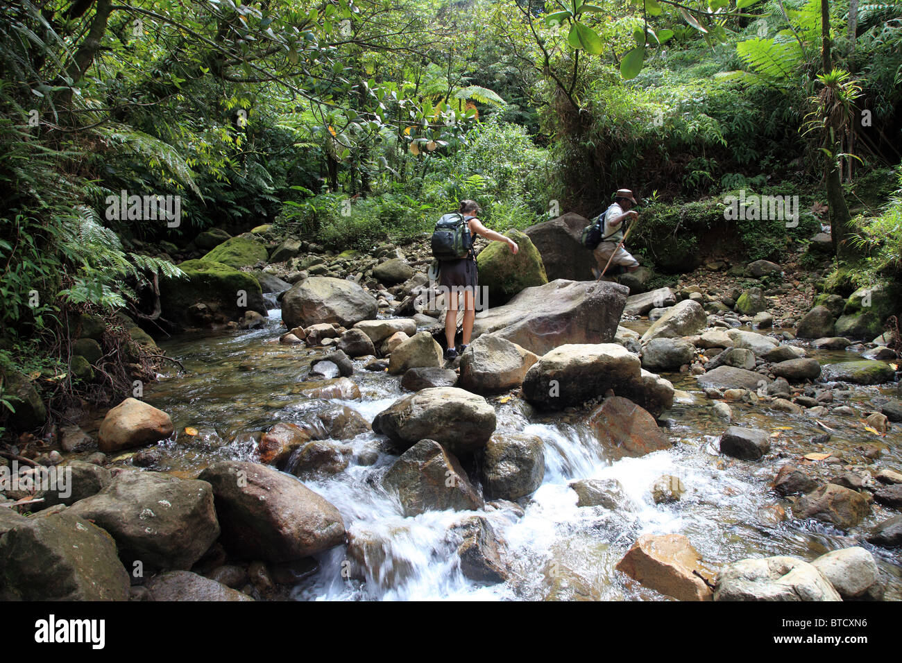 Dominica waitukubuli national trail hi-res stock photography and images ...
