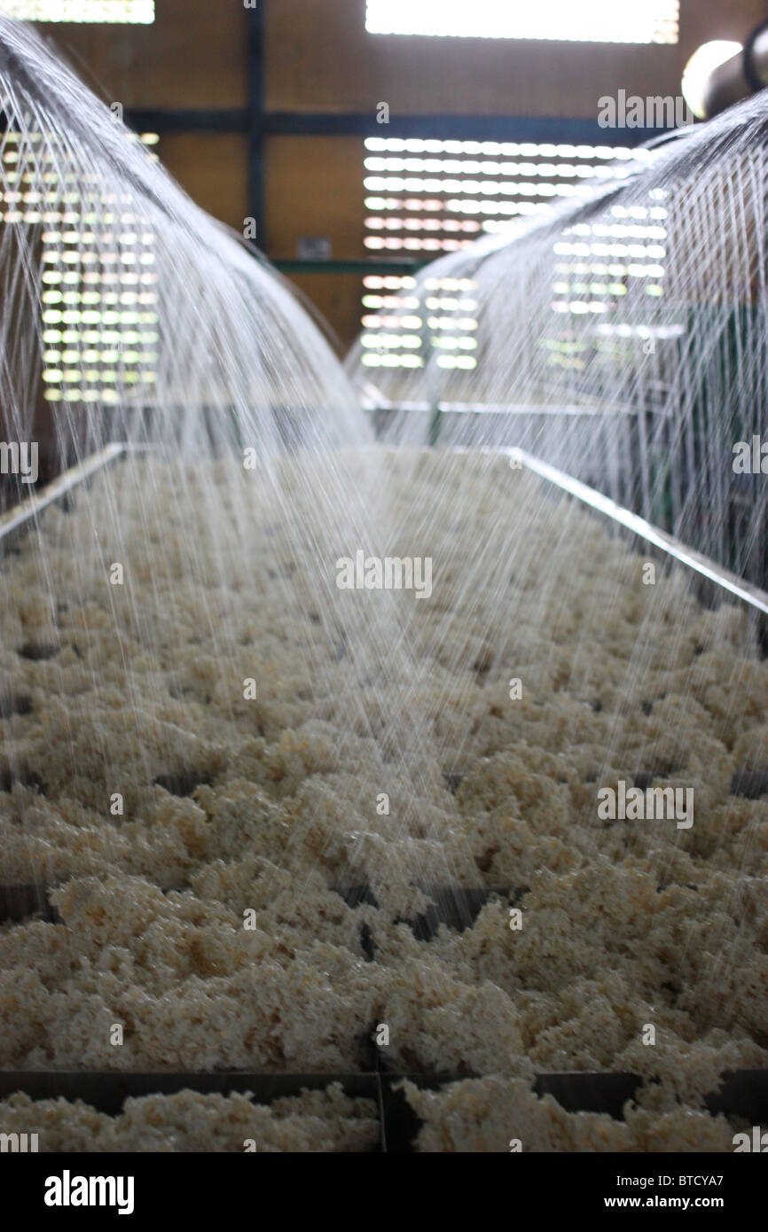 Latex factory hi-res stock photography and images - Alamy